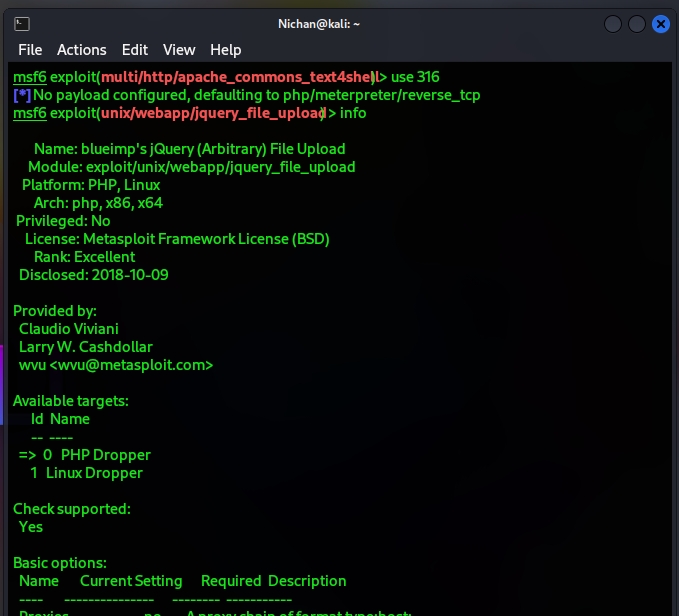 My 2025 OSCP Journey Part 5 : Phishing & Public Exploits